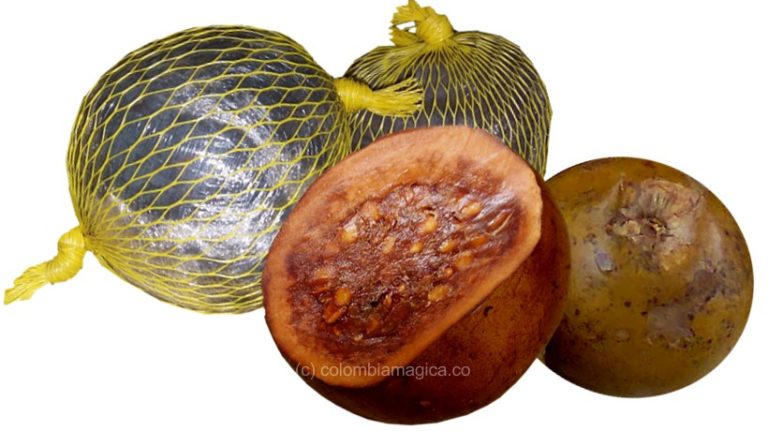 Borojo – DomiPlaza